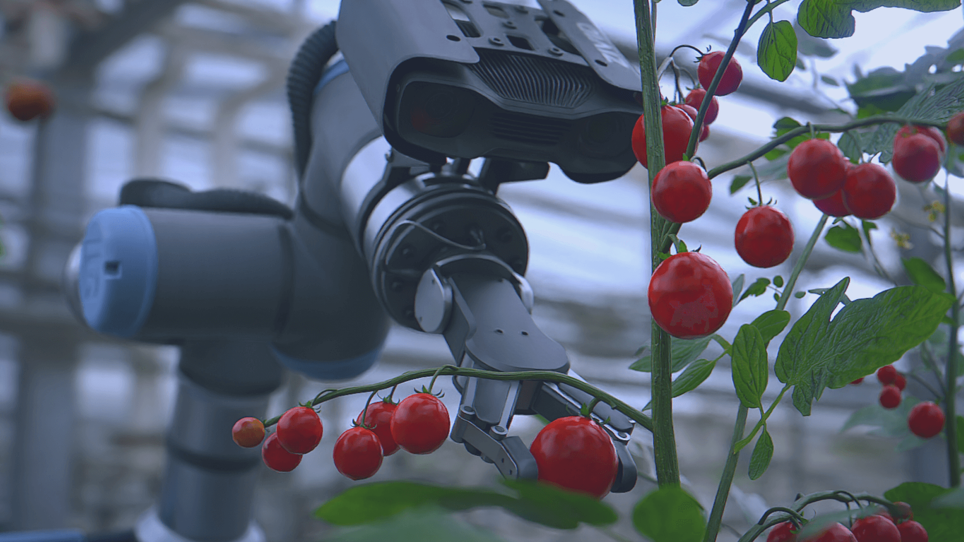 3D machine vision for the agriculture industry